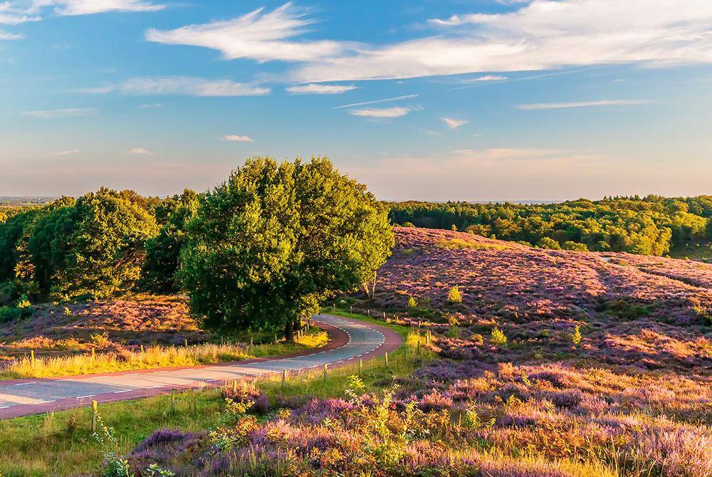 Welkom bij Veluwe Exclusive - Veluwe Exclusive